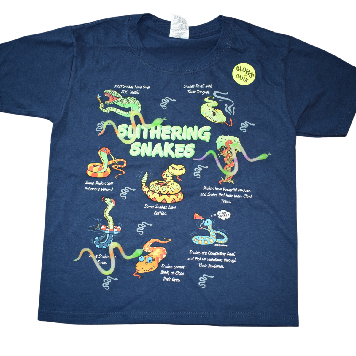 Slithering Snakes – Jr Ranger Shop